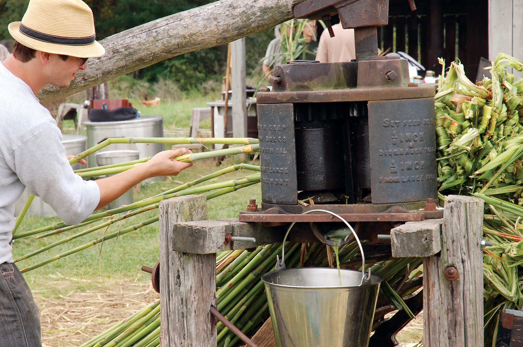 What is Sorghum? – Mother Earth News